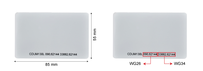 CDUM130L - DUAL FREQUENCY UHF & MIFARE CARD | MAGNET Security